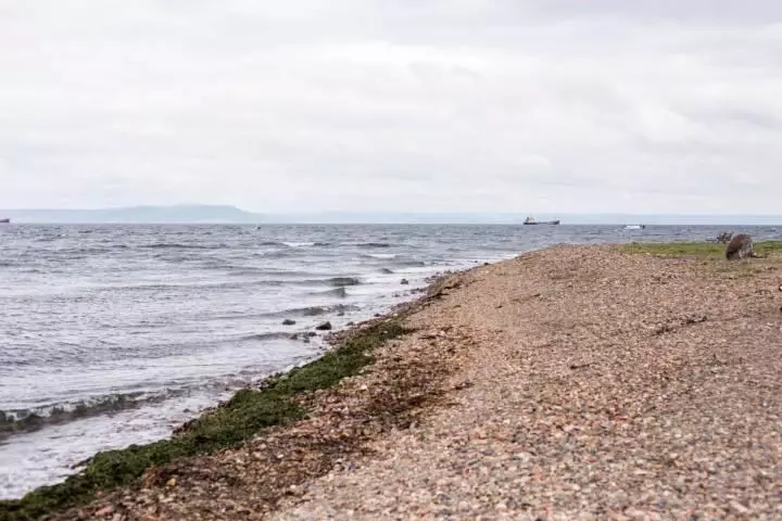 "Havet kastar sina skatter": Vad händer på den populära stranden i Vladivostok