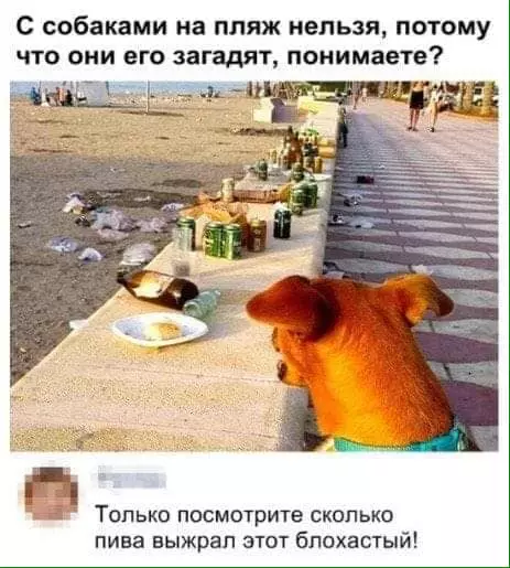 러시아에서는 개가있는 해변에 오기를 위해 강제로 들어갔다.