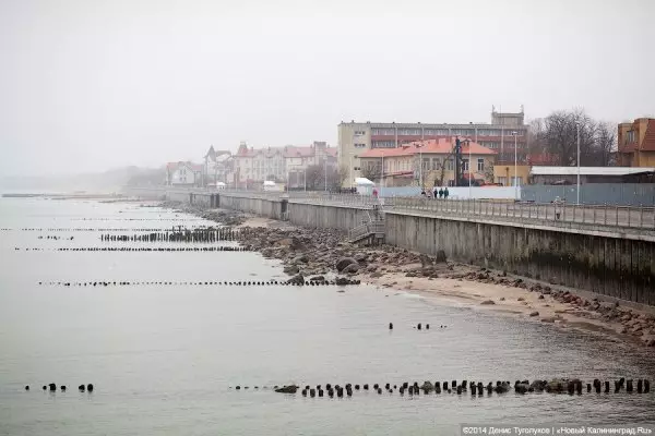 สำหรับปีใหม่ใน Kaliningrad: ในดินแดนอำพันแขกผู้เข้าพักมีความสุขเสมอ