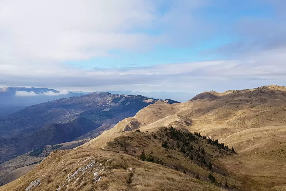 Sindikati novinara Rusije i Republike Srbije složili su se sa saradnjom