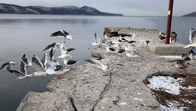 Turisti na Kolitmi će reći o rudarstvu zlata