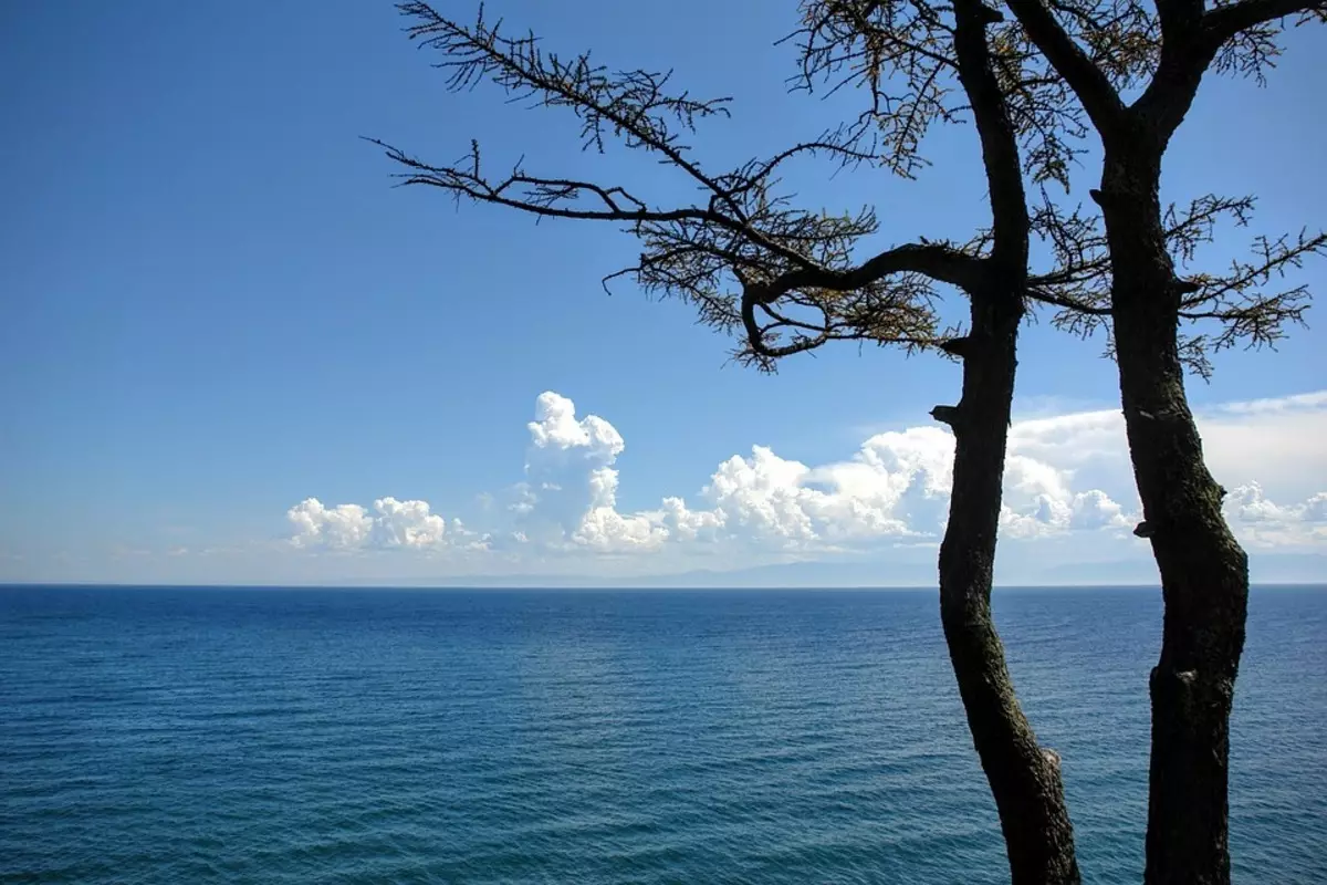 Chinese baikal muRussia hazvichinje