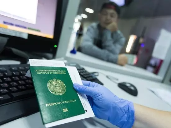 Visas electrónicas: ¿Qué causó una prisa?