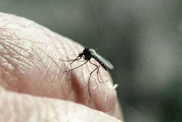 Féiwer aus Thailand a Malaria vu Cambodien. Wat ass geféierlech Tour an den Tropen 289511_1