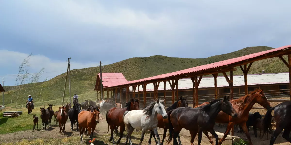 Tourismus mit einem Geschmack: Warum gehen Ausländer nach Kirgisistan?