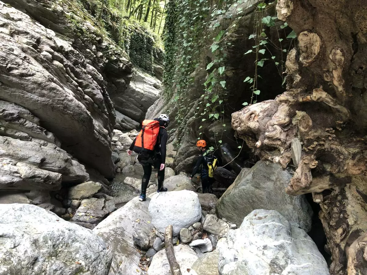 Jalankan dan melompat dari air terjun: 