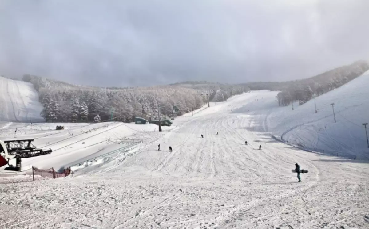 Ecotourismo en Sakhalin: beleza fascinante, altos prezos e eco-pasos