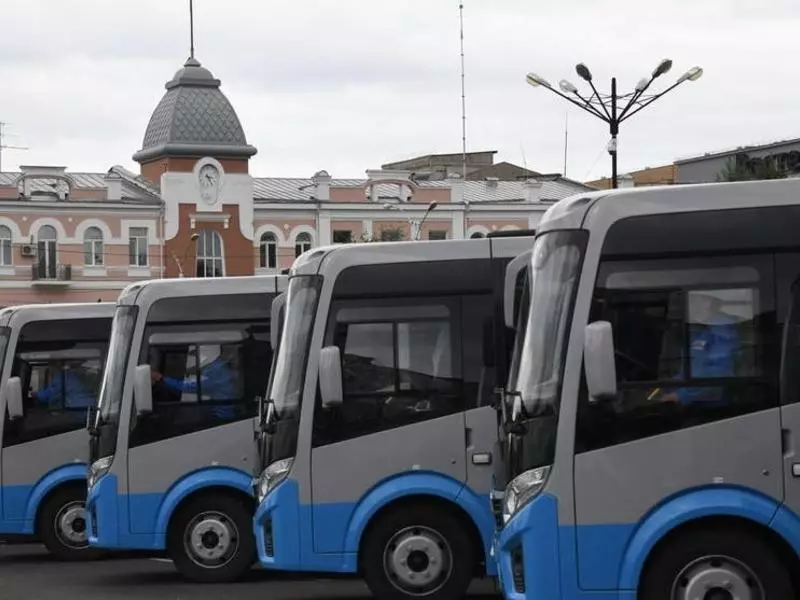 I Chita finns det ungefär en tredjedel av passagerarbussarna