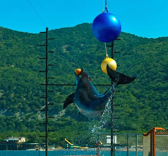 Anapa Dolphinarium, Anapa, Russland, Europa