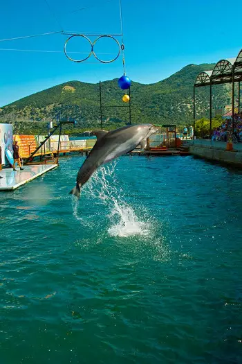 Anapa Dolphinarium, Anapa, Rusia, Europa