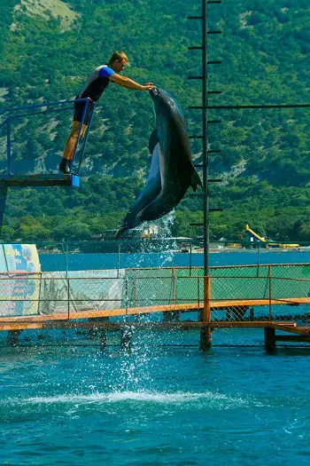 Anapa Dolphinárium, Anapa, Rusko, Evropa