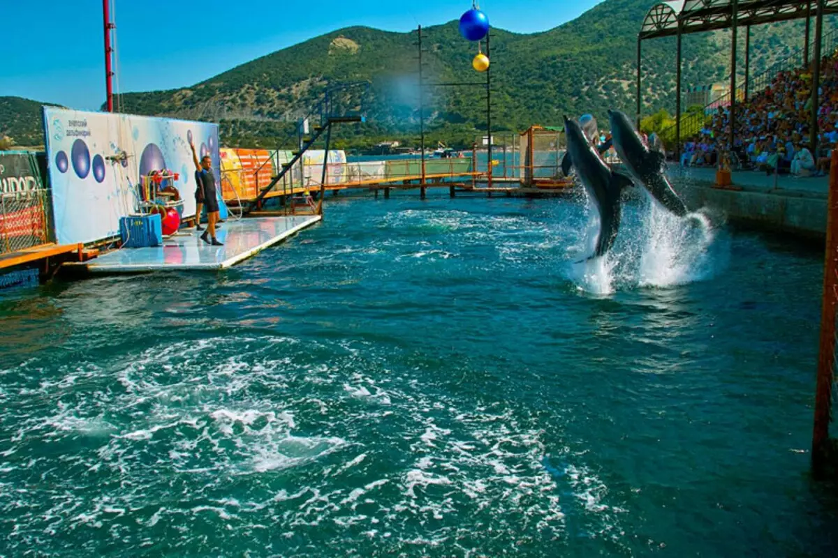 Anapa Dolphinárium, Anapa, Rusko, Evropa