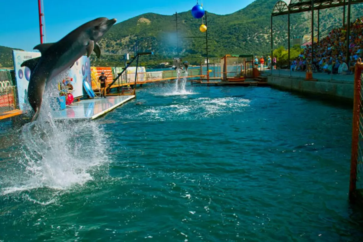 Anapa Dolphinárium, Anapa, Rusko, Evropa