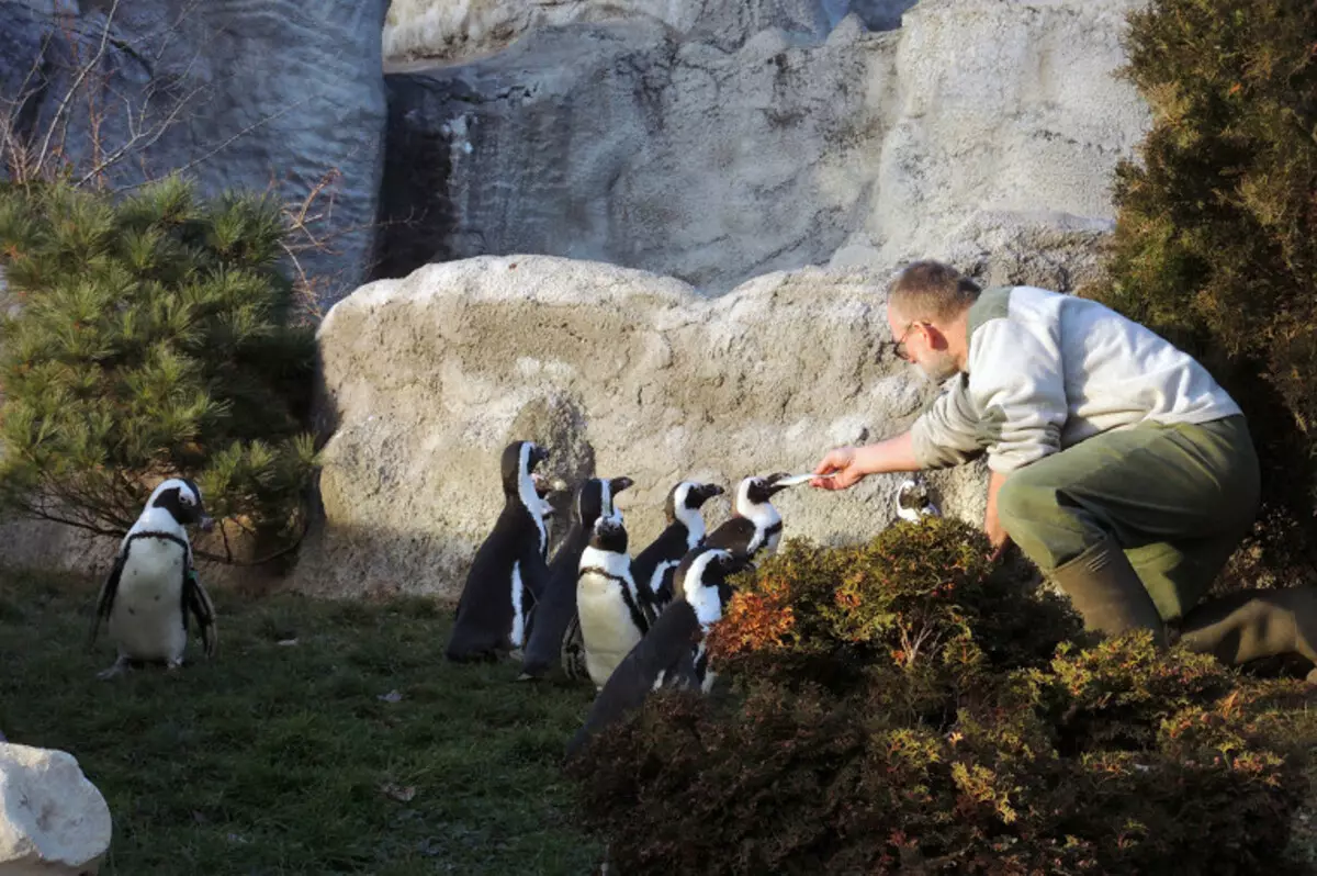 Zoo Budapest.