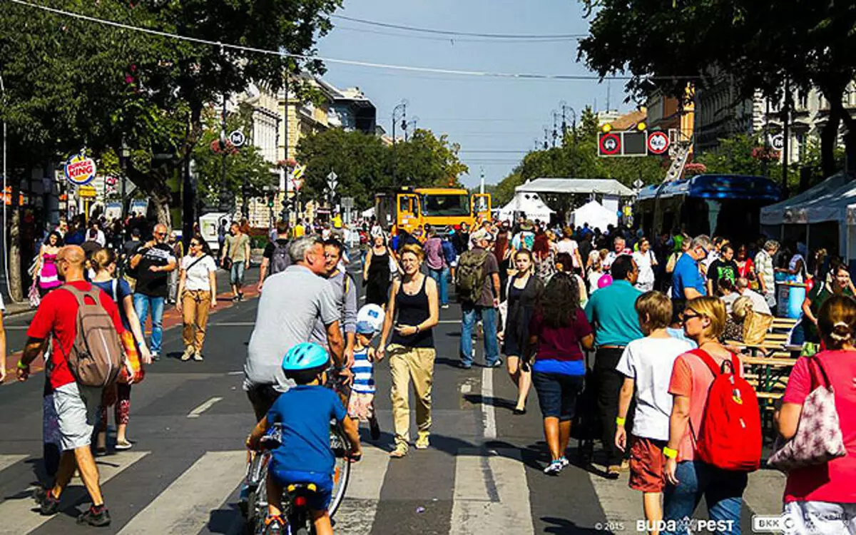 Avenue Andrassi Budapest