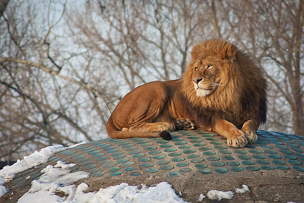 Warsaw Zoo, Warsaw, Poland, Europe