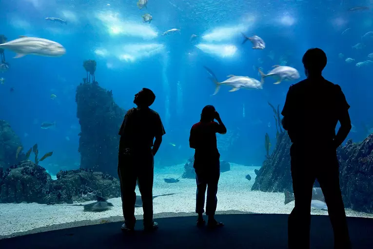 Oceanarium, Lisabon, Portugalsko, Evropa