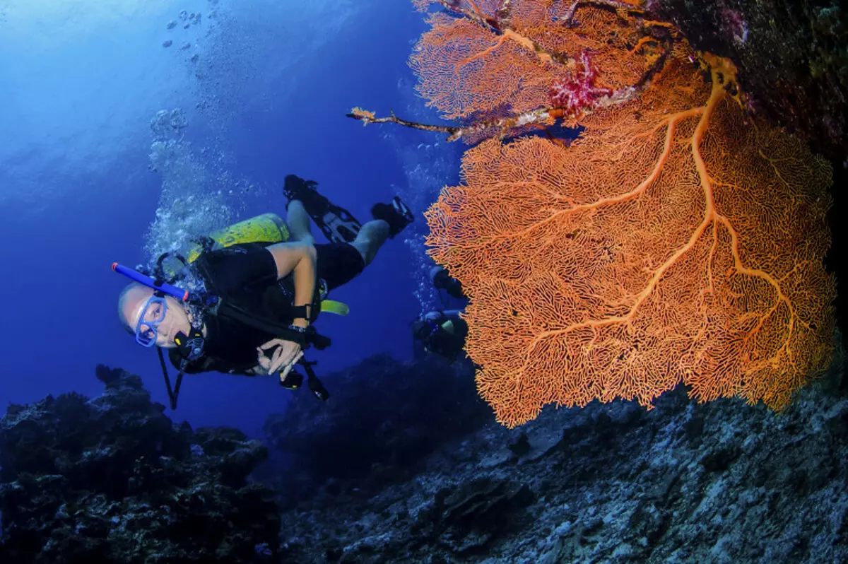 סימילאַן אינזלען, Phuket, Thailand, אזיע