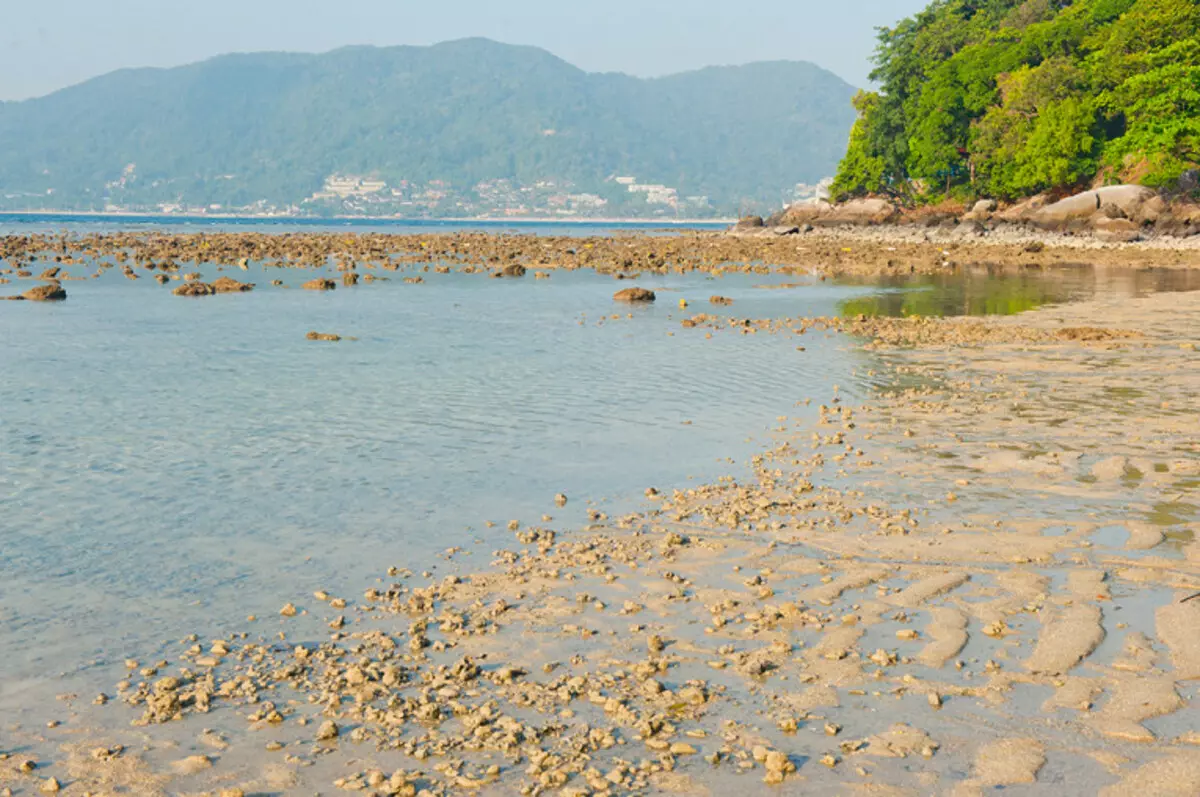 Hiru trang hondartza, Phuket, Thailandia, Asia