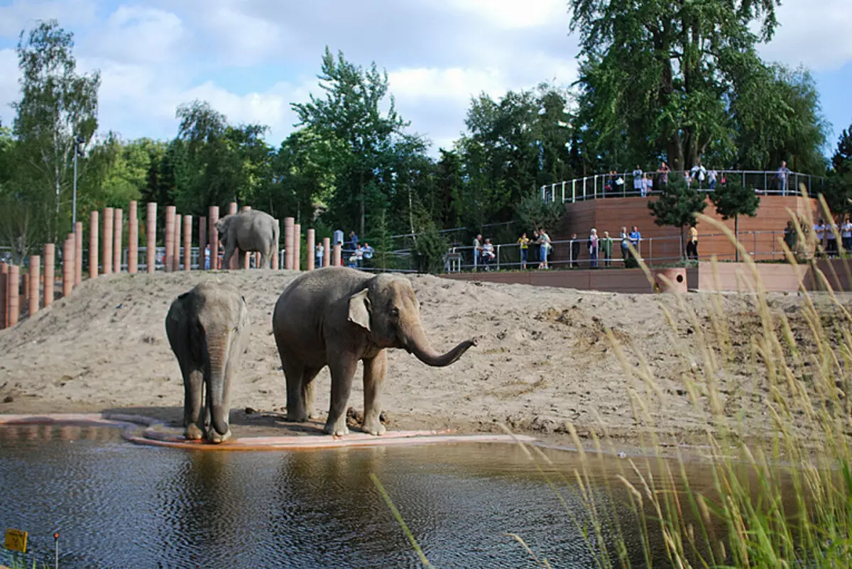 Copenhagen Zoo, Copenhagen, Denmark, Ulaya.