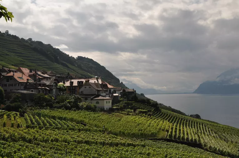 მეღვინეობა AU Clos de la république terraced ვენახები Lavavo, Lausanne, შვეიცარია, ევროპა