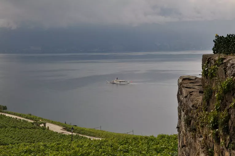 მეღვინეობა AU Clos de la république terraced ვენახები Lavavo, Lausanne, შვეიცარია, ევროპა