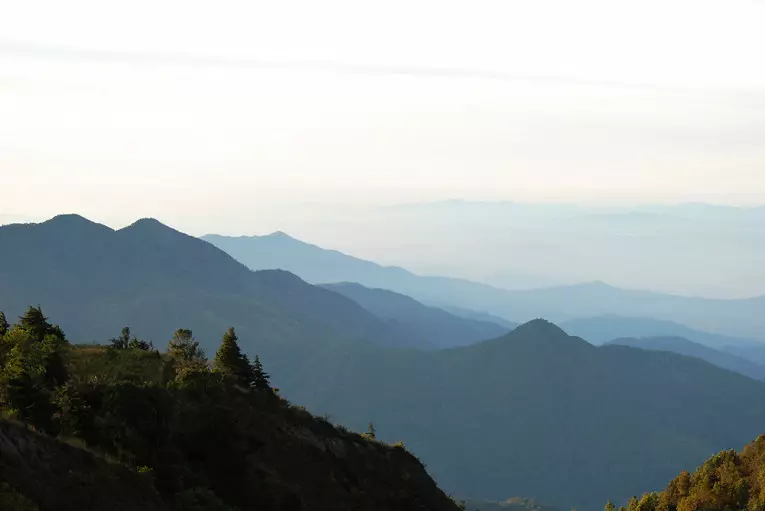 Parc Cenedlaethol DoyYnonone, Chiang Mai, Gwlad Thai, Asia