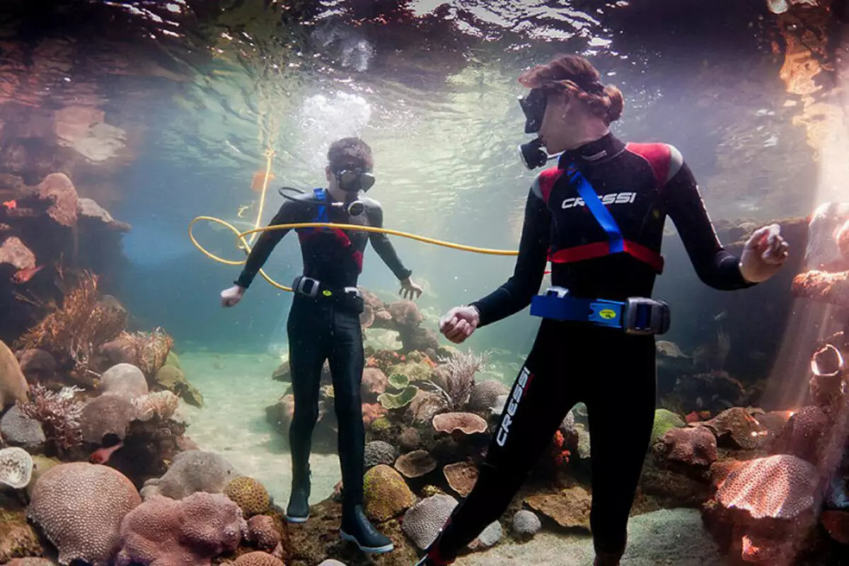 I-Western Australia Aquarium, Perth, Australia, Australia kunye newaliwe