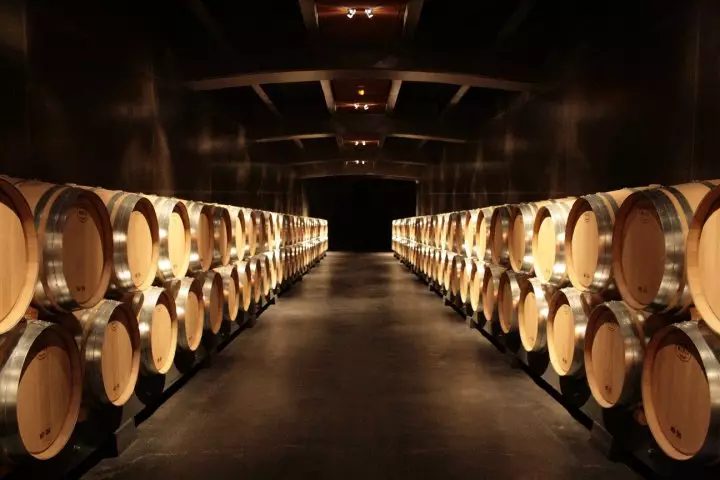 Vivsko Dynasty Winery, Španielsko, Európa