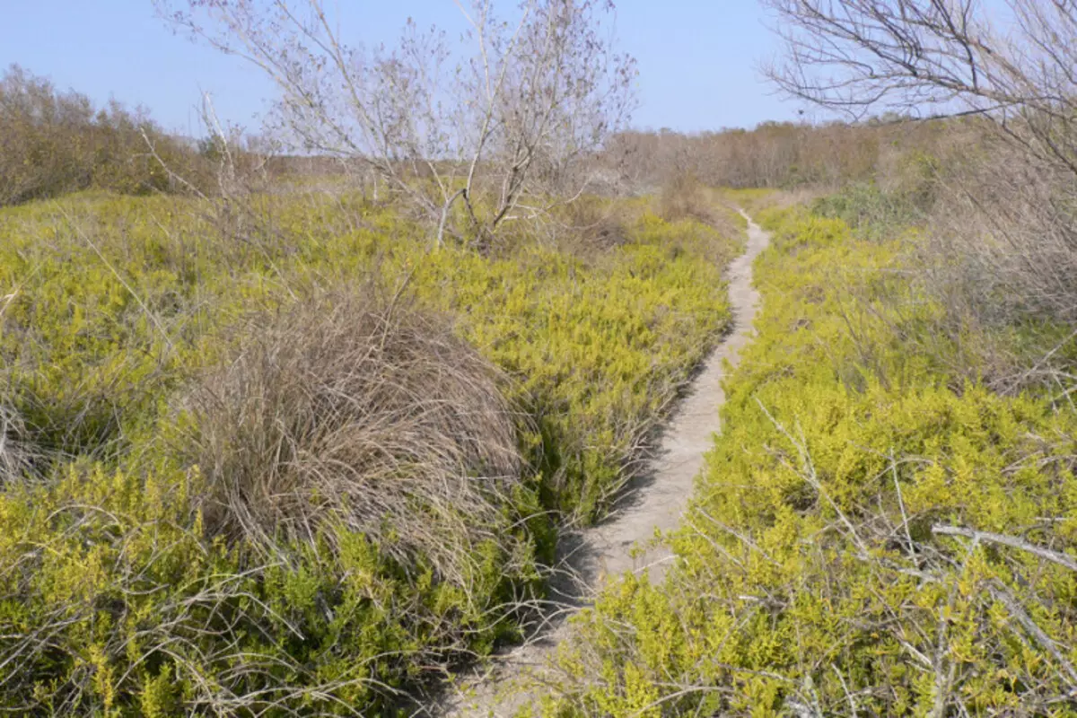 Everglades ແຫ່ງຊາດ Park, Florida, USA, ອາເມລິກາເຫນືອແລະ Caribbean