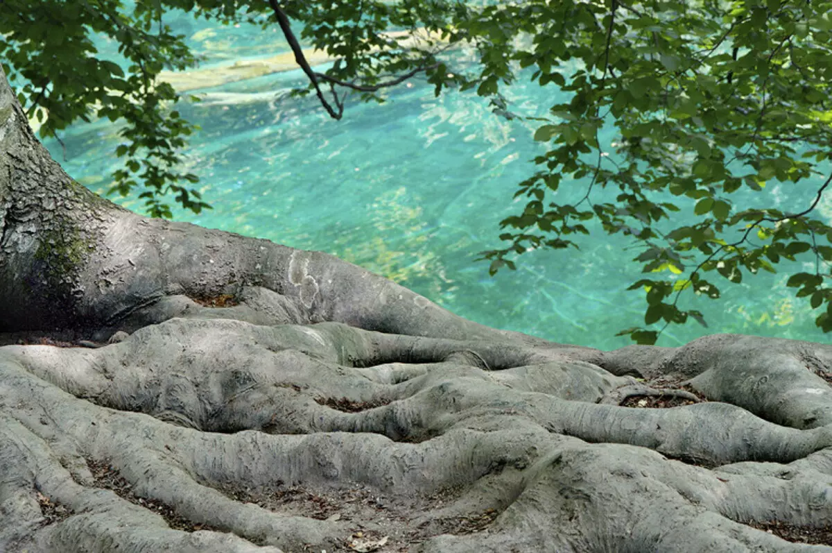 Plitvice Lakes, Kroatia, Europa