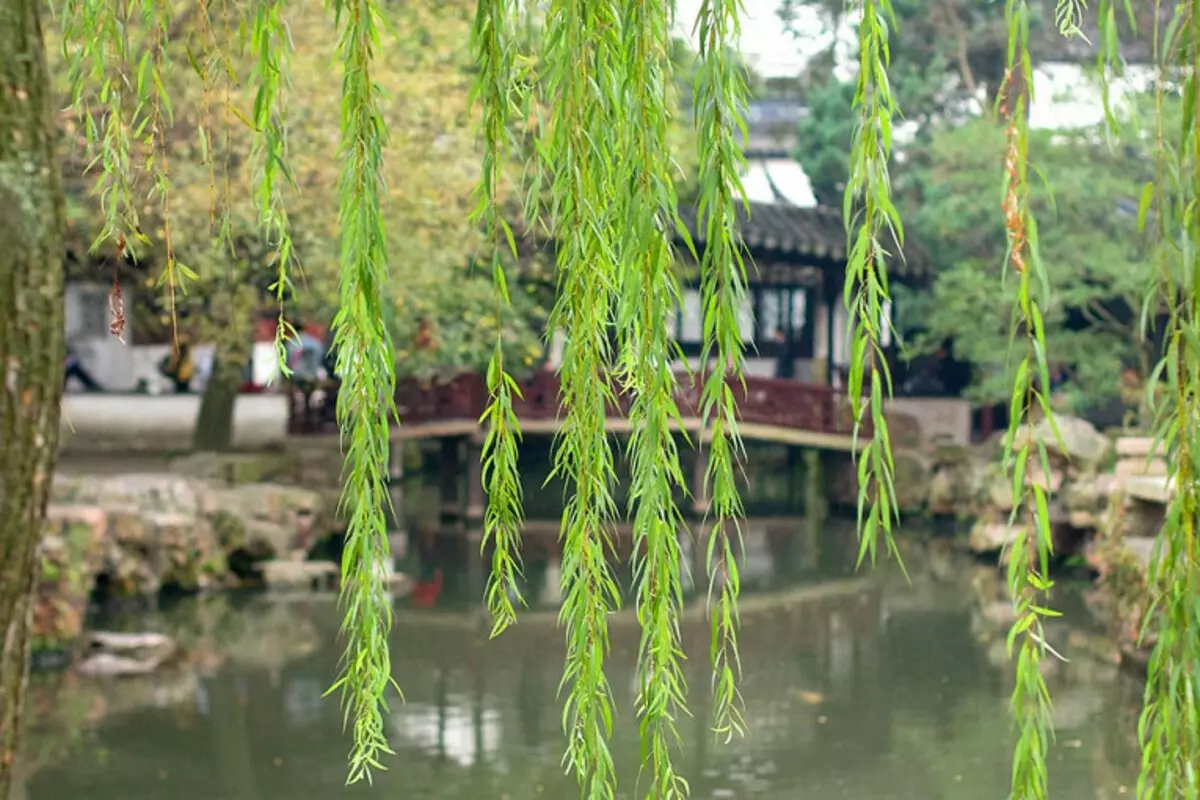 Tuin van 'n beskeie amptenaar, Suzhou, China, Asië