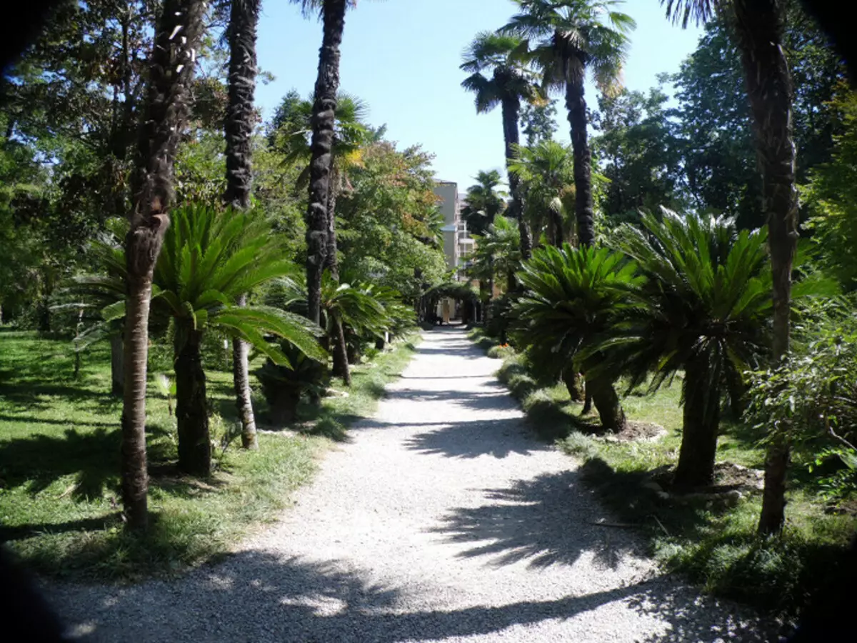 Sukhumi Botanical Garden, Sukhum, Abkhazia, Europa