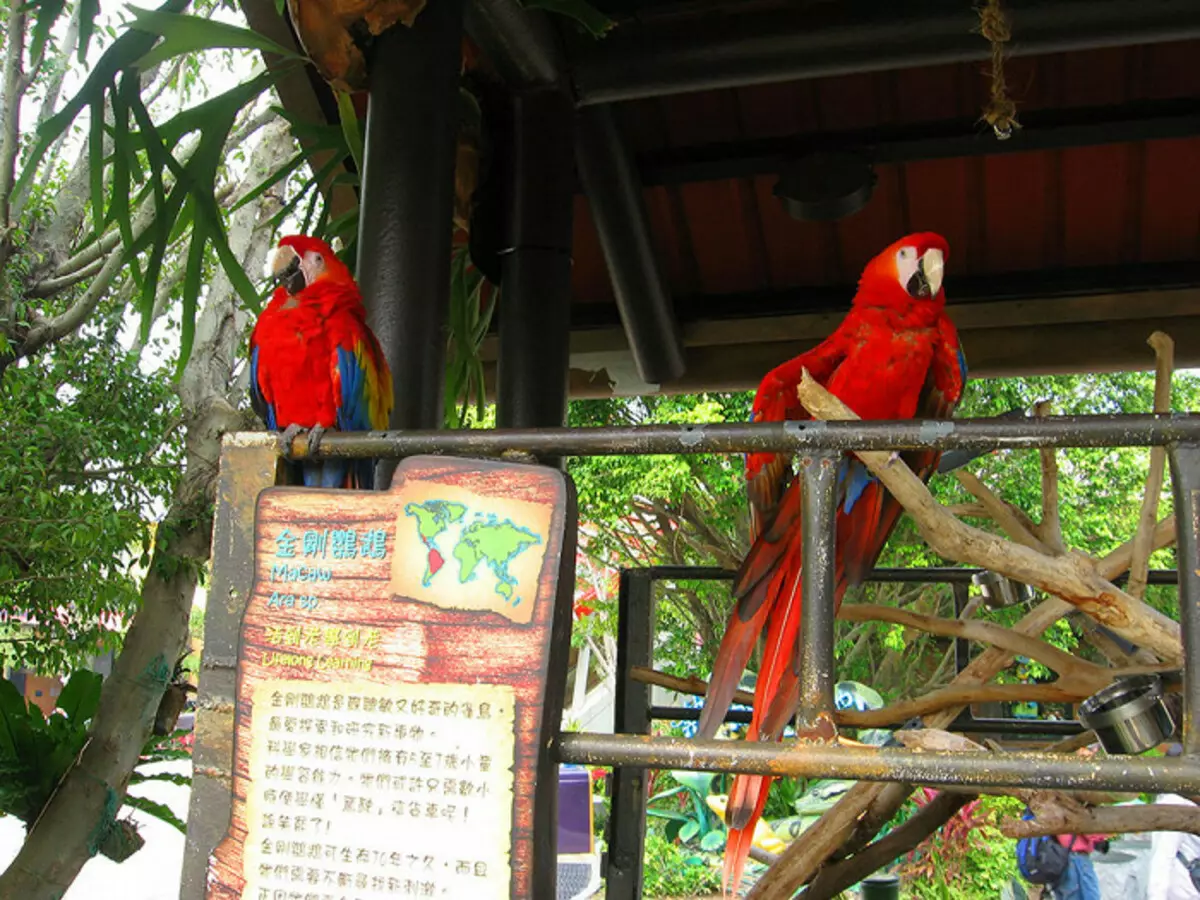 Ocean Park Park, Honkongo, Azio