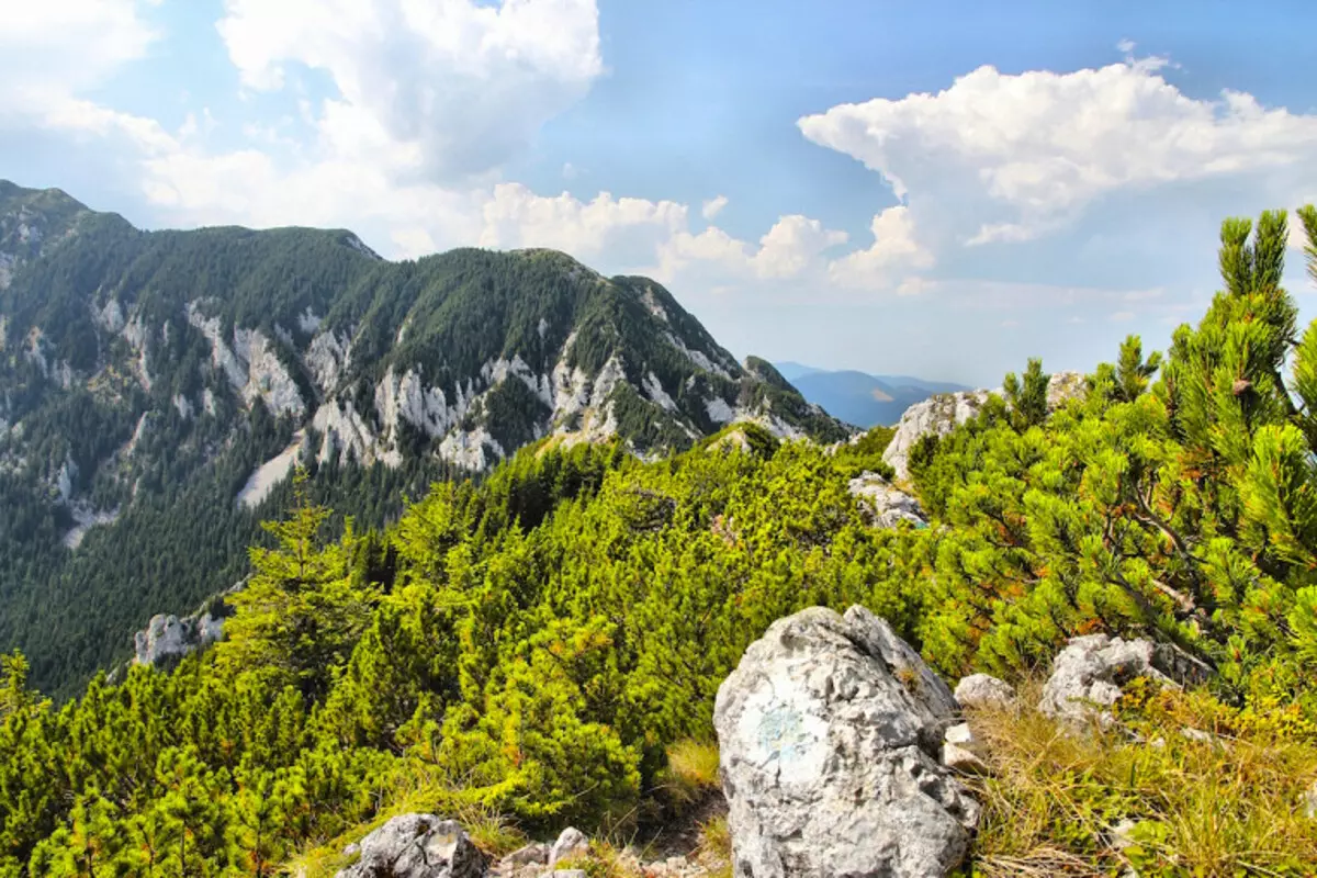 Cinquè parc nacional, Romania, Europa