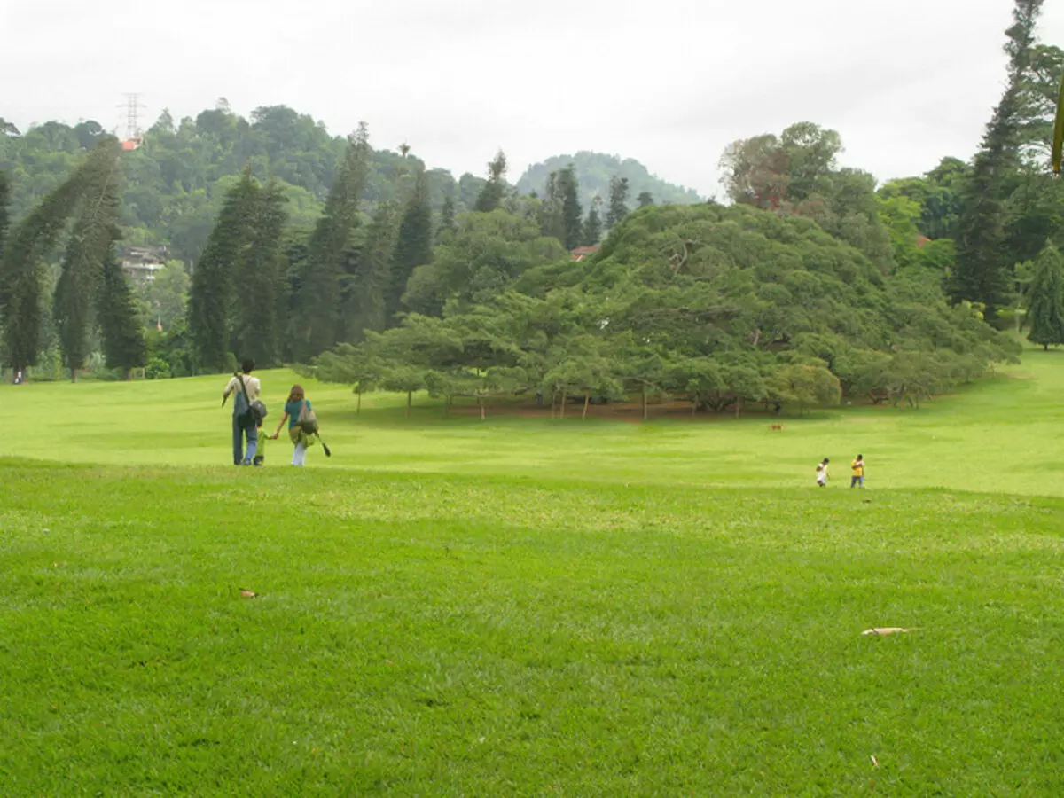 Ingadi yasebukhosini yeBotanical, Sri Lanka, Eshiya