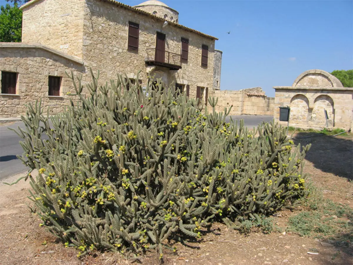 Isigodlo saseSt. Varnava, eNyakatho Cyprus, Cyprus, Europe