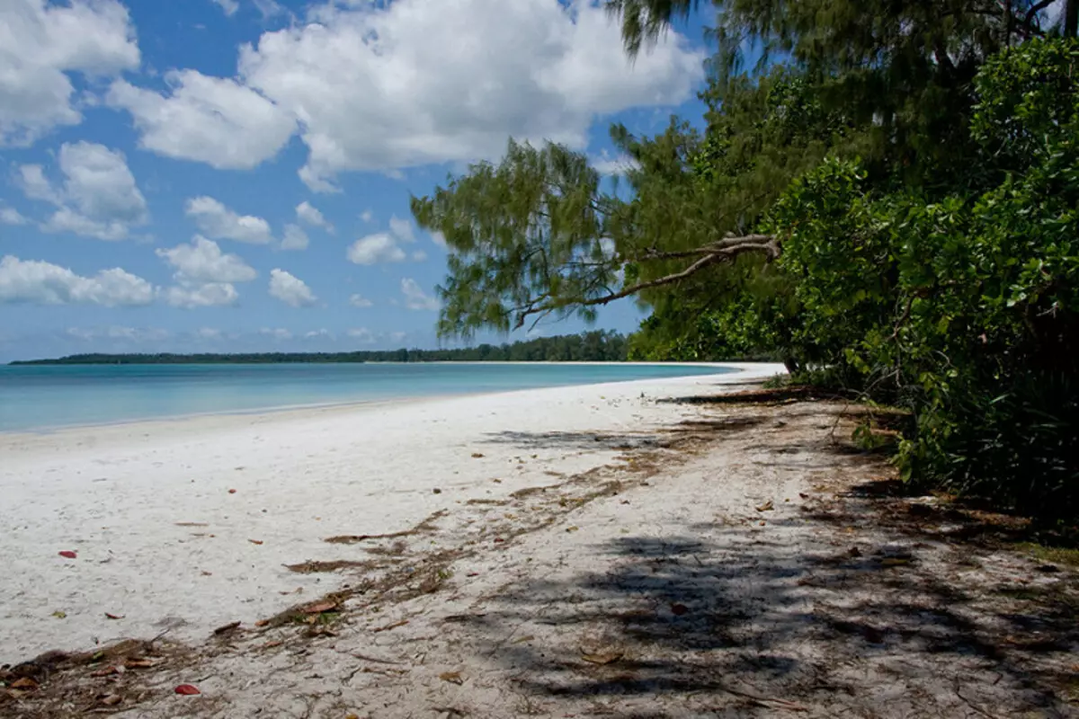 Pemba Island, Tanzanië, Afrika