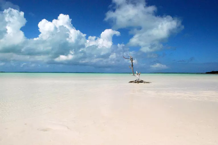 Harbour Island, Bahamas, Amerik di Nò ak Karayib