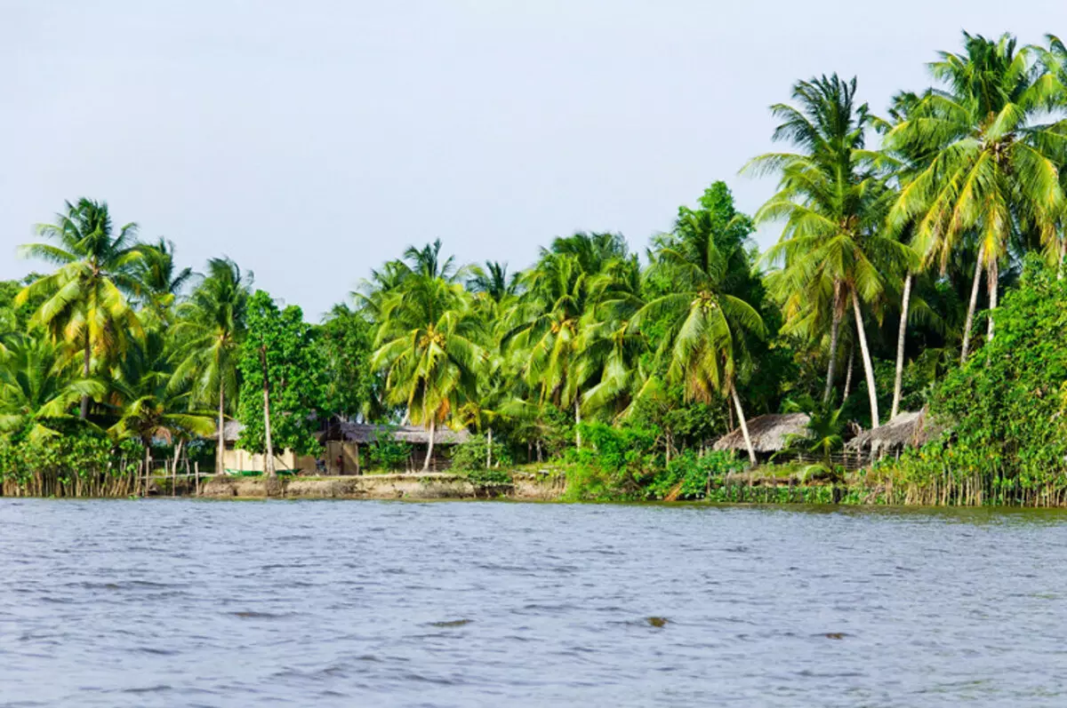 Orinoco Delta, Venezuela, Amérique du Sud