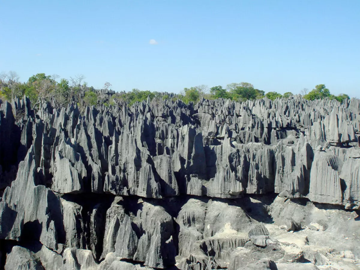 Zingzhi du Bimaraha, Madagaskar, Afrika