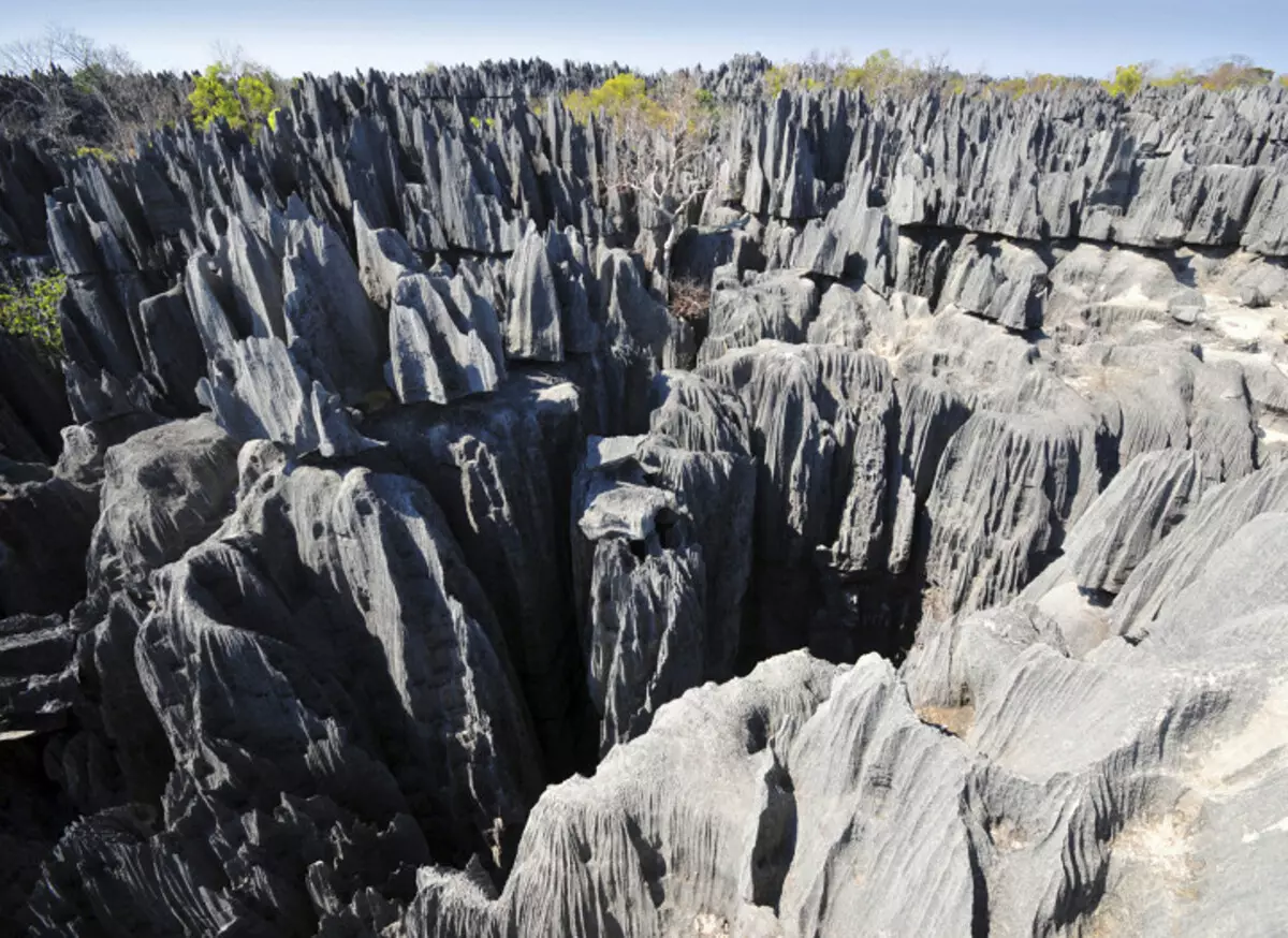 Zingzhi du bimaraha, Madagascar, Aferika