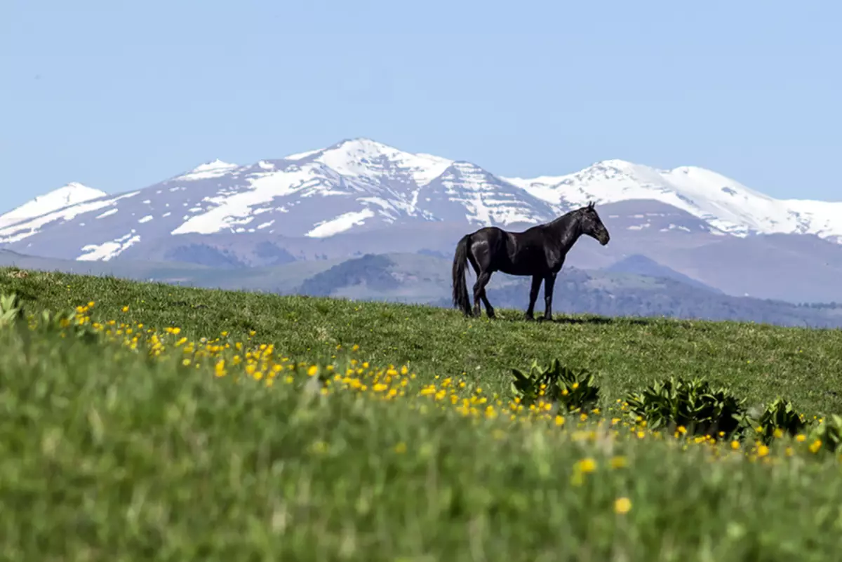 Muga Turne ing Karachay-Cherkessia. Laporan Foto