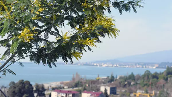 Az orosz turisták abháziába rohantak