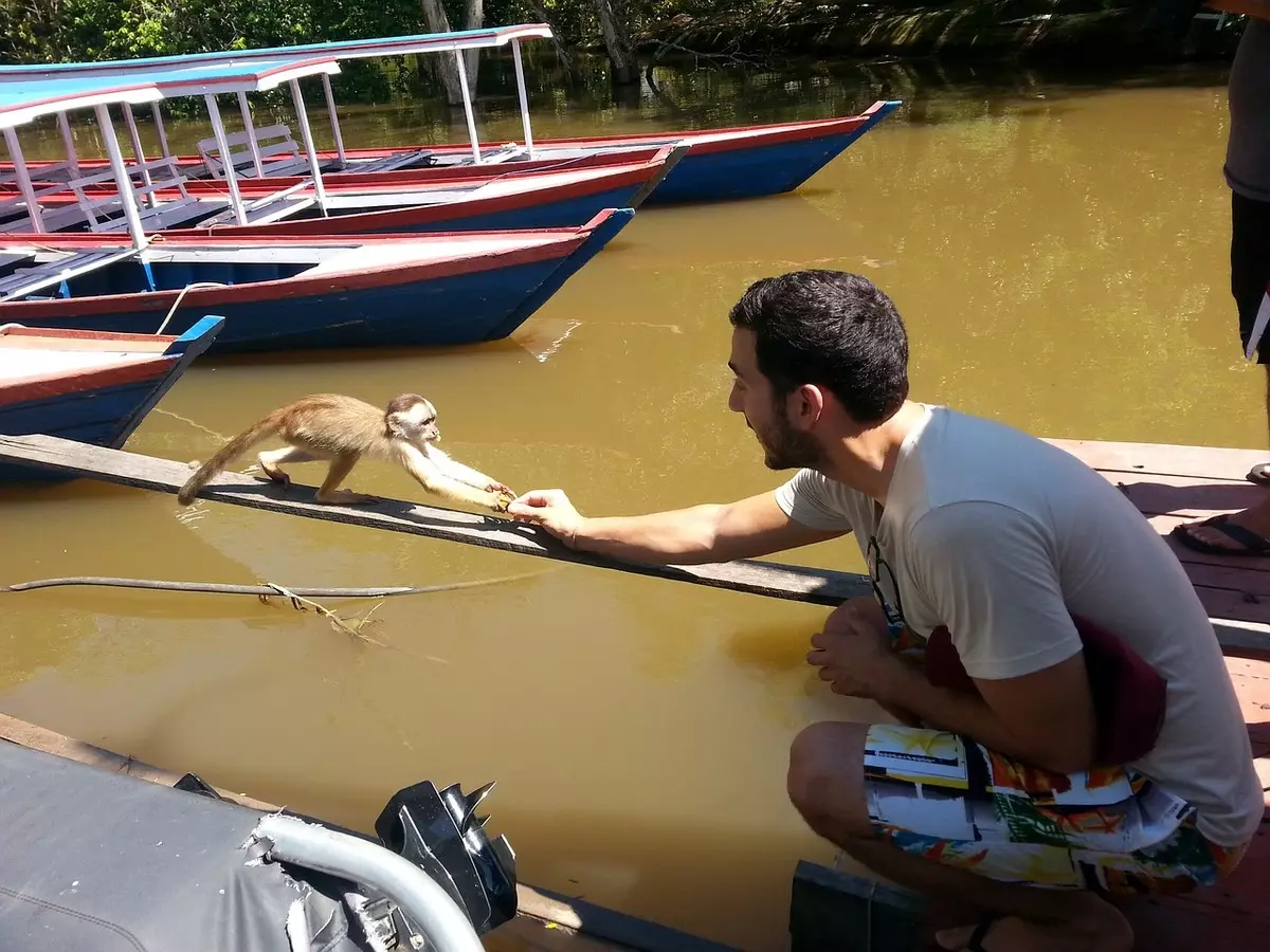 Di tu rewşê de li Viyetnamê monkeyên çolê çêdike