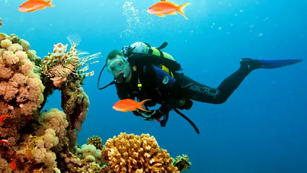 Taizemes zinātnieki nolēma saglabāt koraļļus Maya Bay līcī ar super bloķēšanu