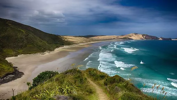 En Nova Zelanda, Konnepad negociaba turistas ao océano