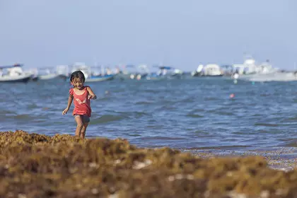 Le spiagge su una località popolare odoravano dalle uova marce