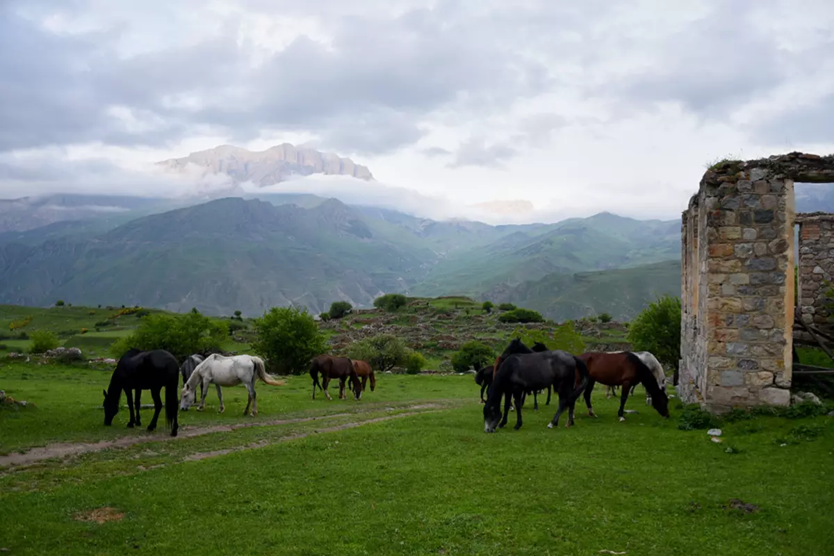 Shoqata e organizatave sanatorium, turistike dhe rekreative është krijuar në CBD