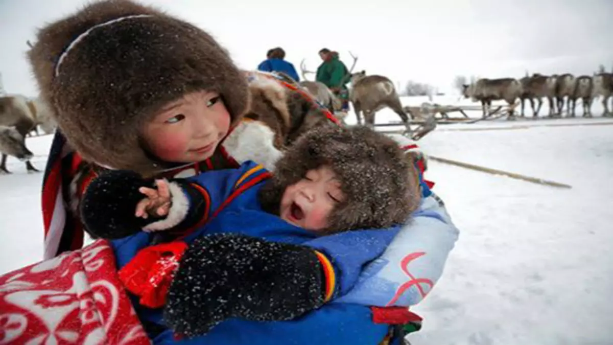10,000 turistas de Rusia y en el extranjero reunirán un día de reno en Yamal